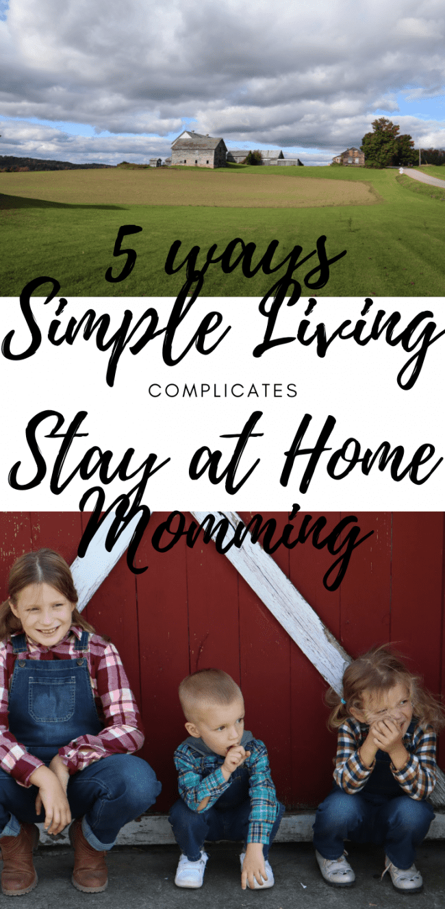 I Just Want a Simple Life- 5 Ways Simple Living Makes Stay At Home ...